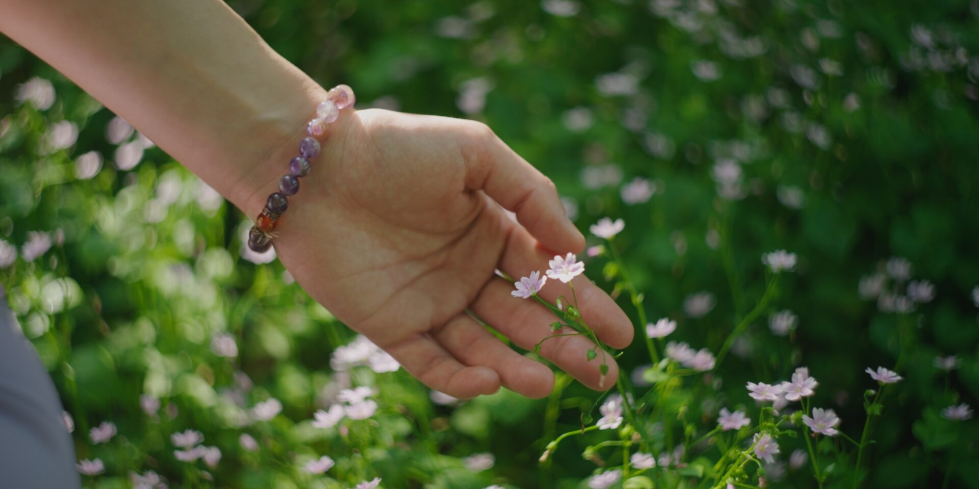 Sony Conversion LUTs - Cine Source